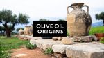 Discover Olive Oil Origins: A Rich History & Journey – Learn Olive Oil